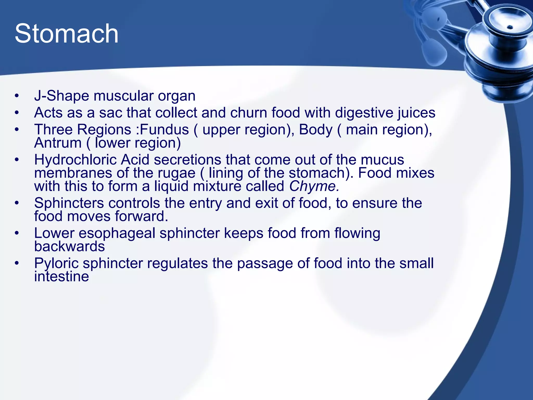 Digestive System | PPT