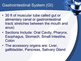 Digestive System | PPT | Digestive Disorders | Diseases and Conditions