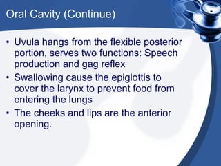 Digestive System | PPT | Digestive Disorders | Diseases and Conditions