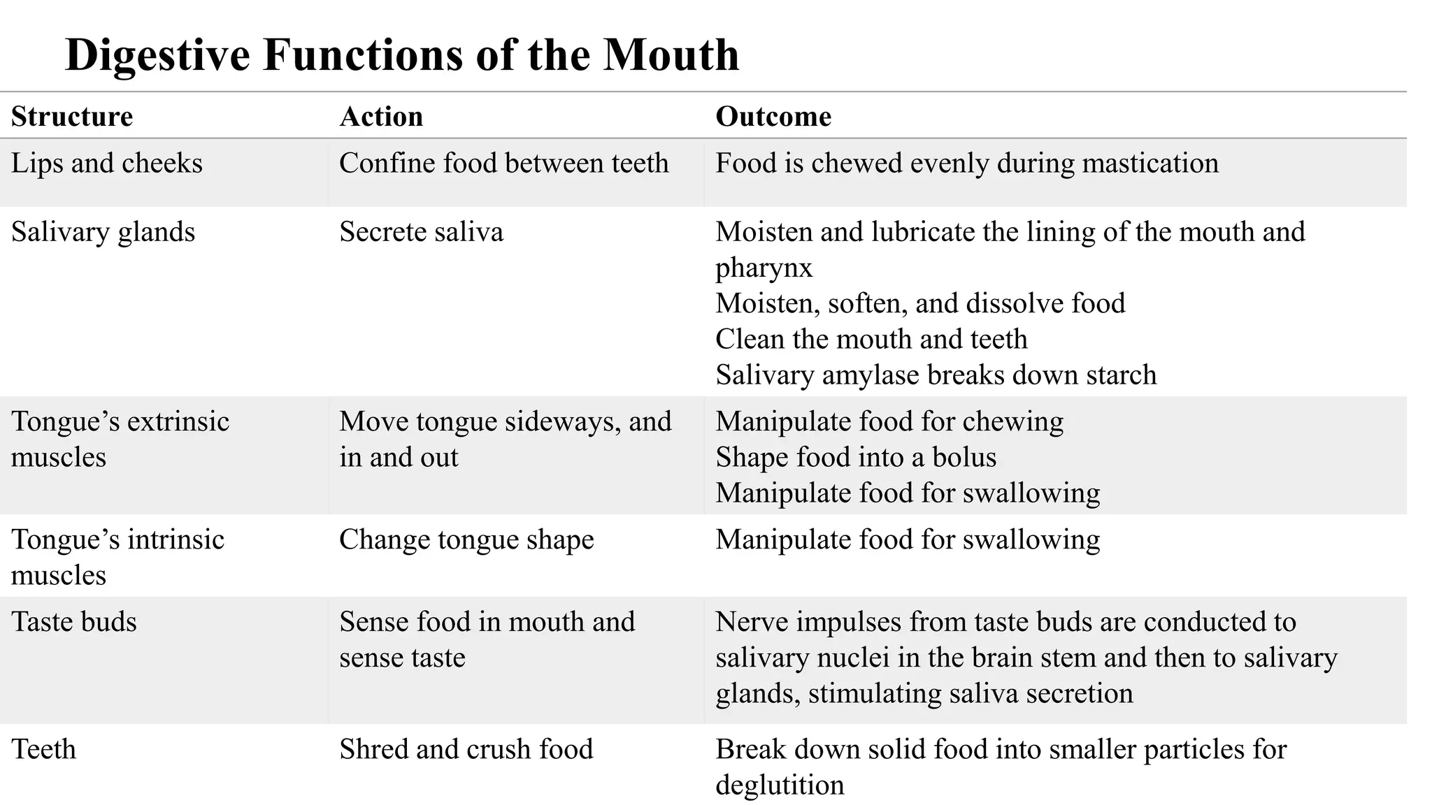 Digestive system-1.pptx