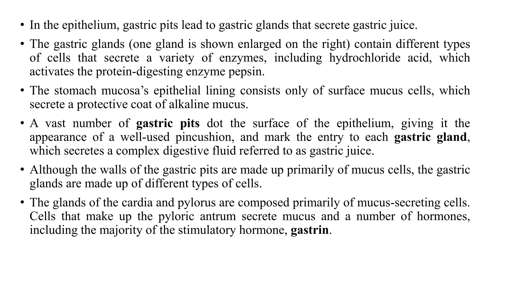Digestive system-1.pptx