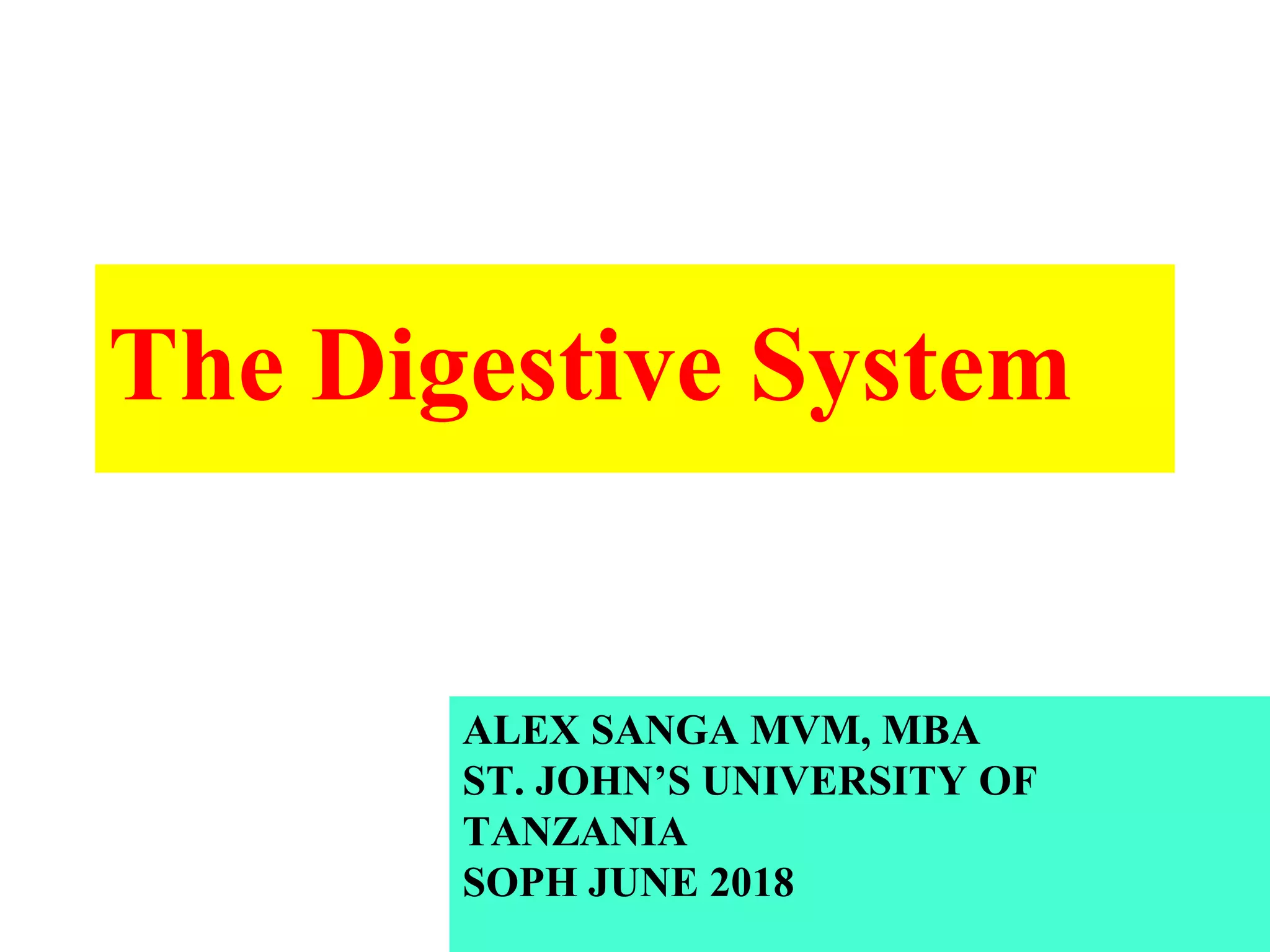 DIGESTIVE SYSTEM-1.ppt