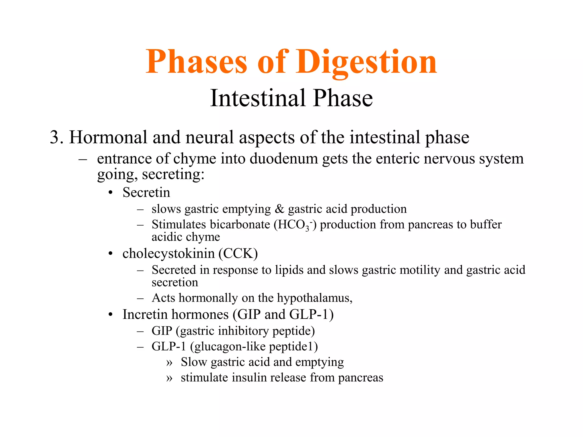 DIGESTIVE SYSTEM-1.ppt