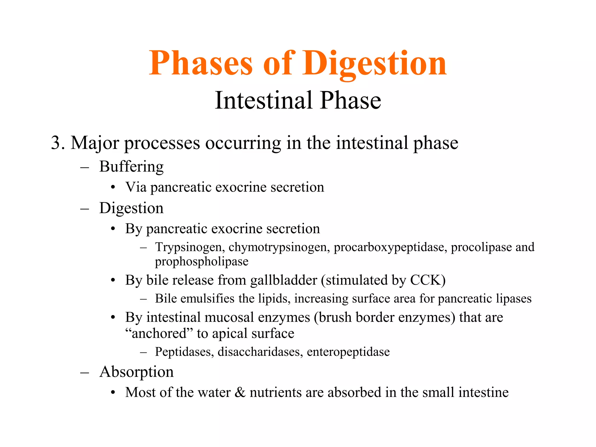 DIGESTIVE SYSTEM-1.ppt