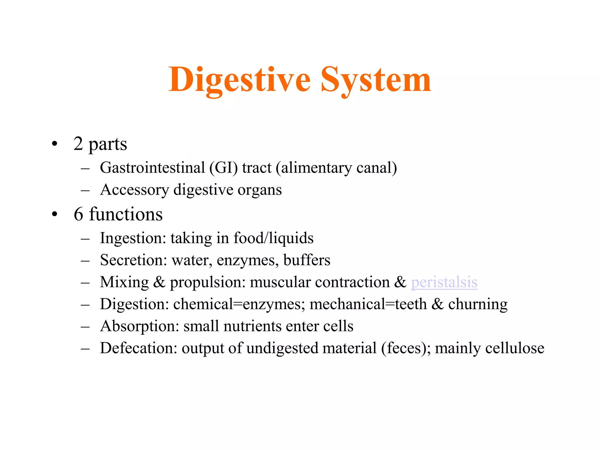DIGESTIVE SYSTEM-1.ppt