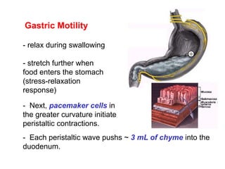 DIGESTIVE SYSTEM-1.ppt