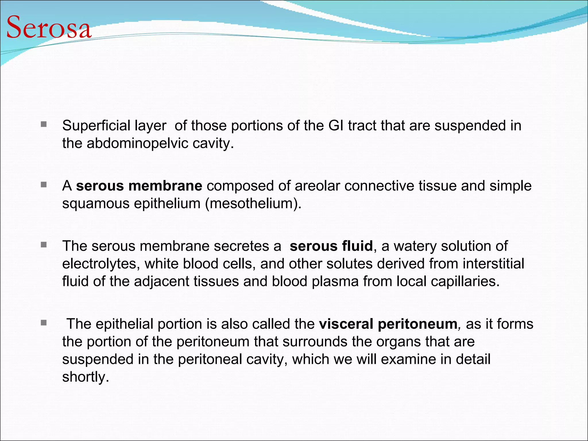 Digestive system | PPT