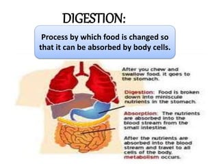Digestive system | PPTX
