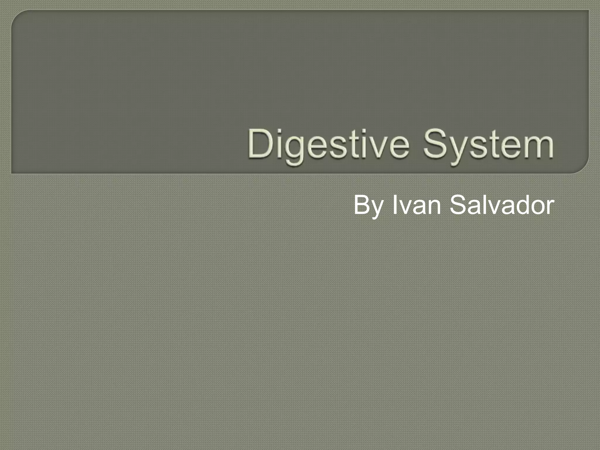 Digestive system | PPT
