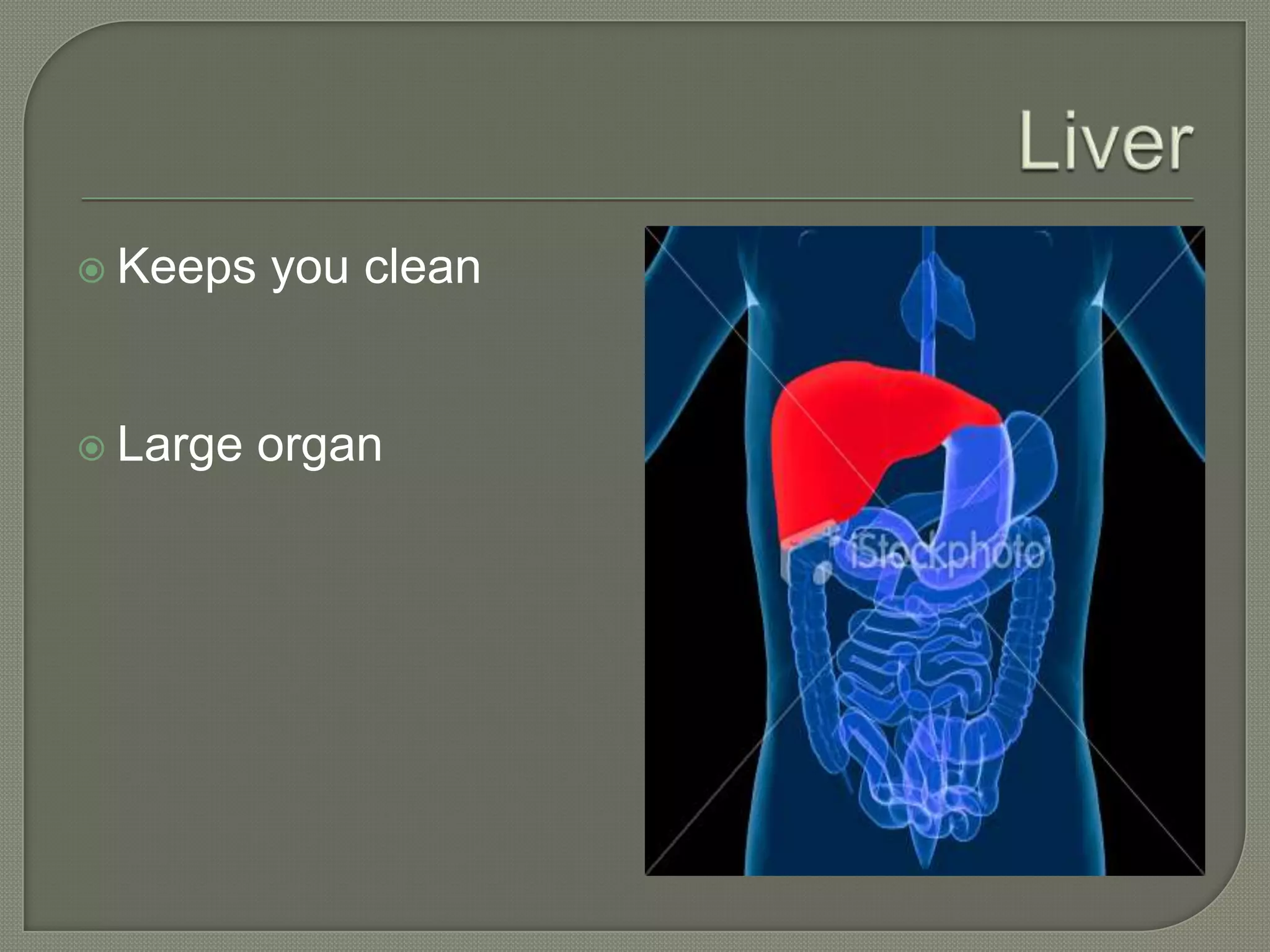 Digestive system | PPT