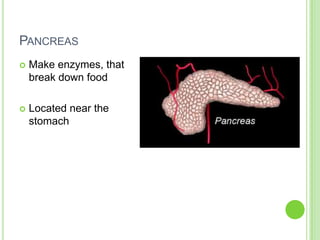 Digestive system | PPT