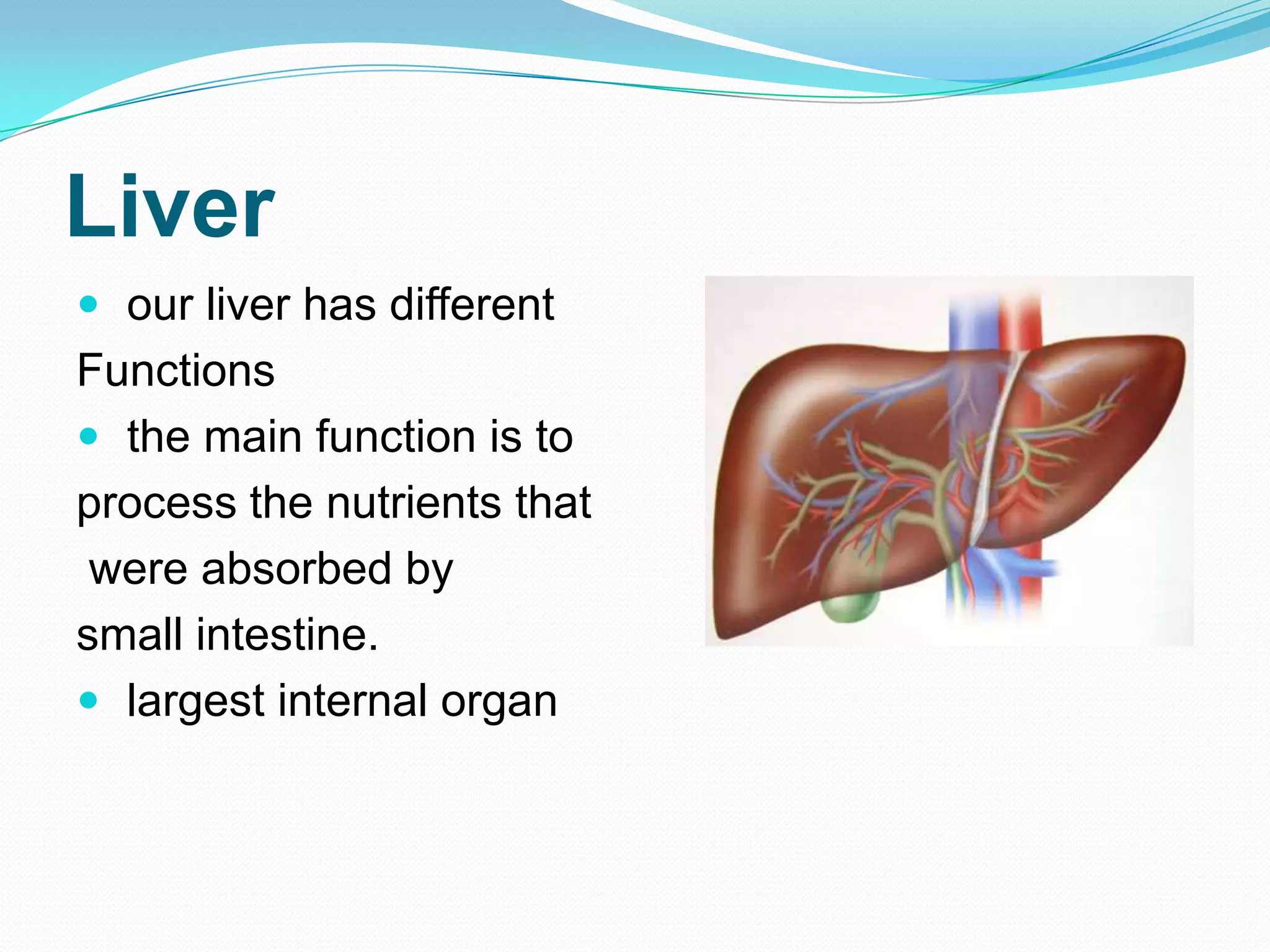 Digestive system | PPTX