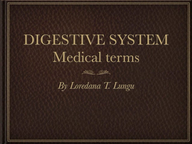 Digestive system medical terminology | KEY | Digestive Disorders ...