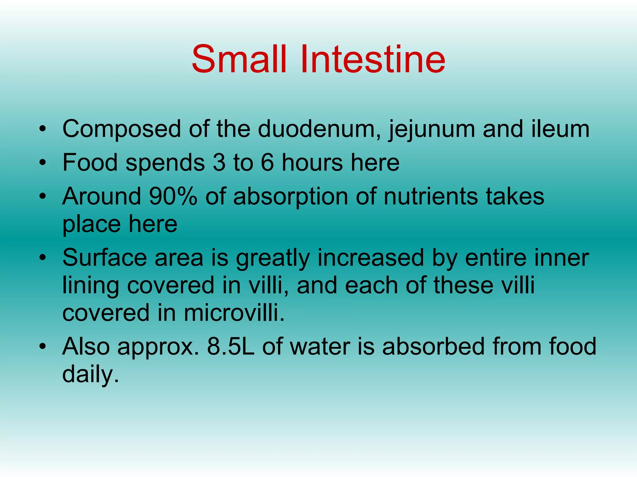 11 Digestive system | PPT