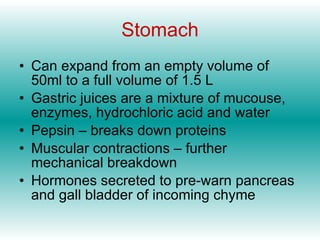 11 Digestive system | PPT