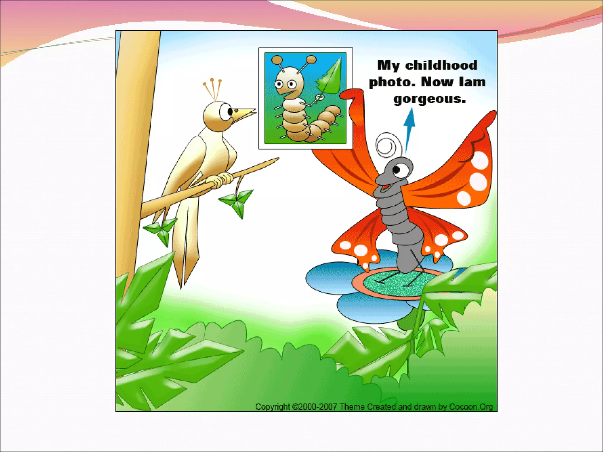Life cycle of butterfly | PPT