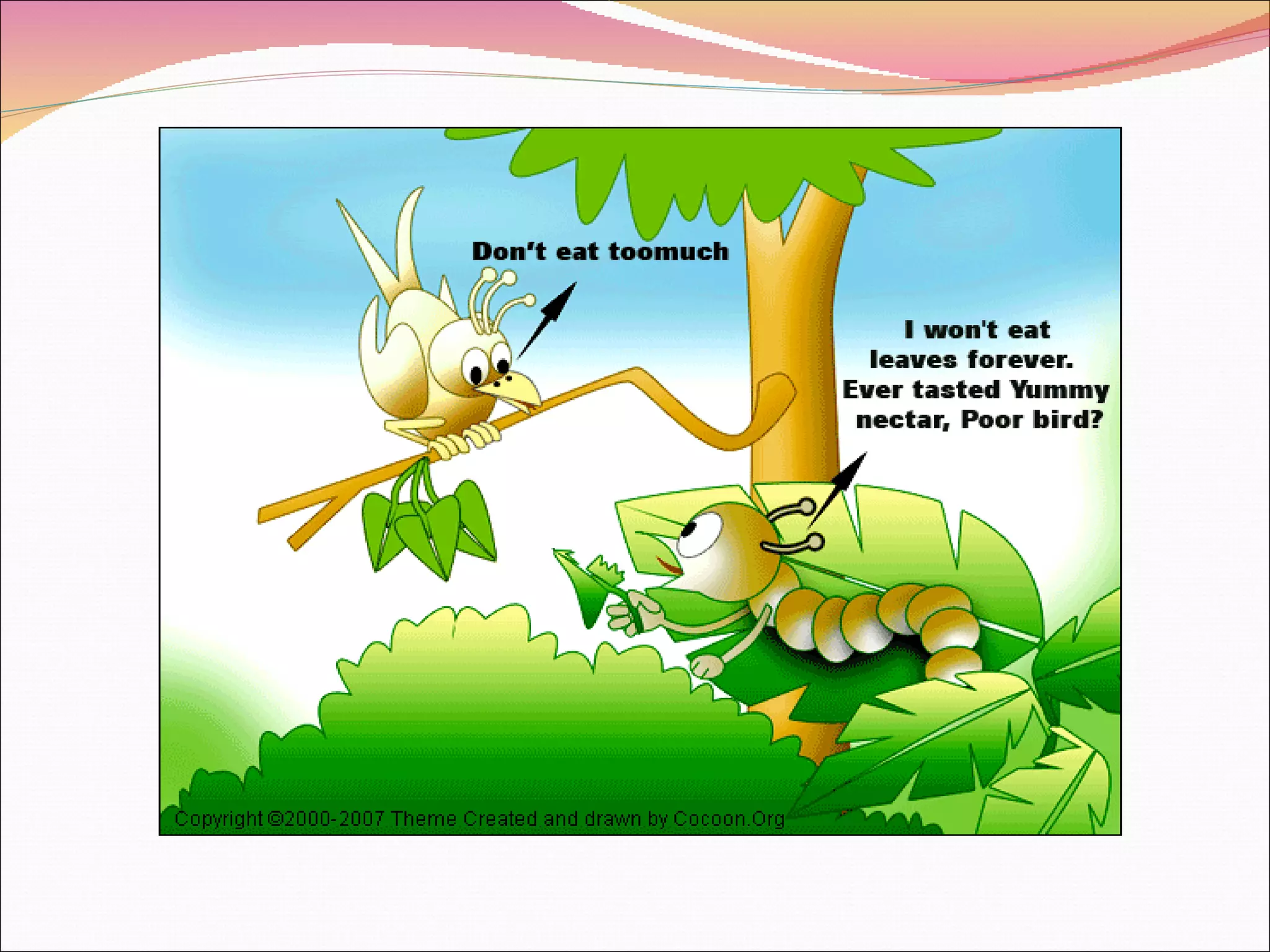 Life cycle of butterfly | PPT
