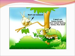 Life cycle of butterfly | PPT