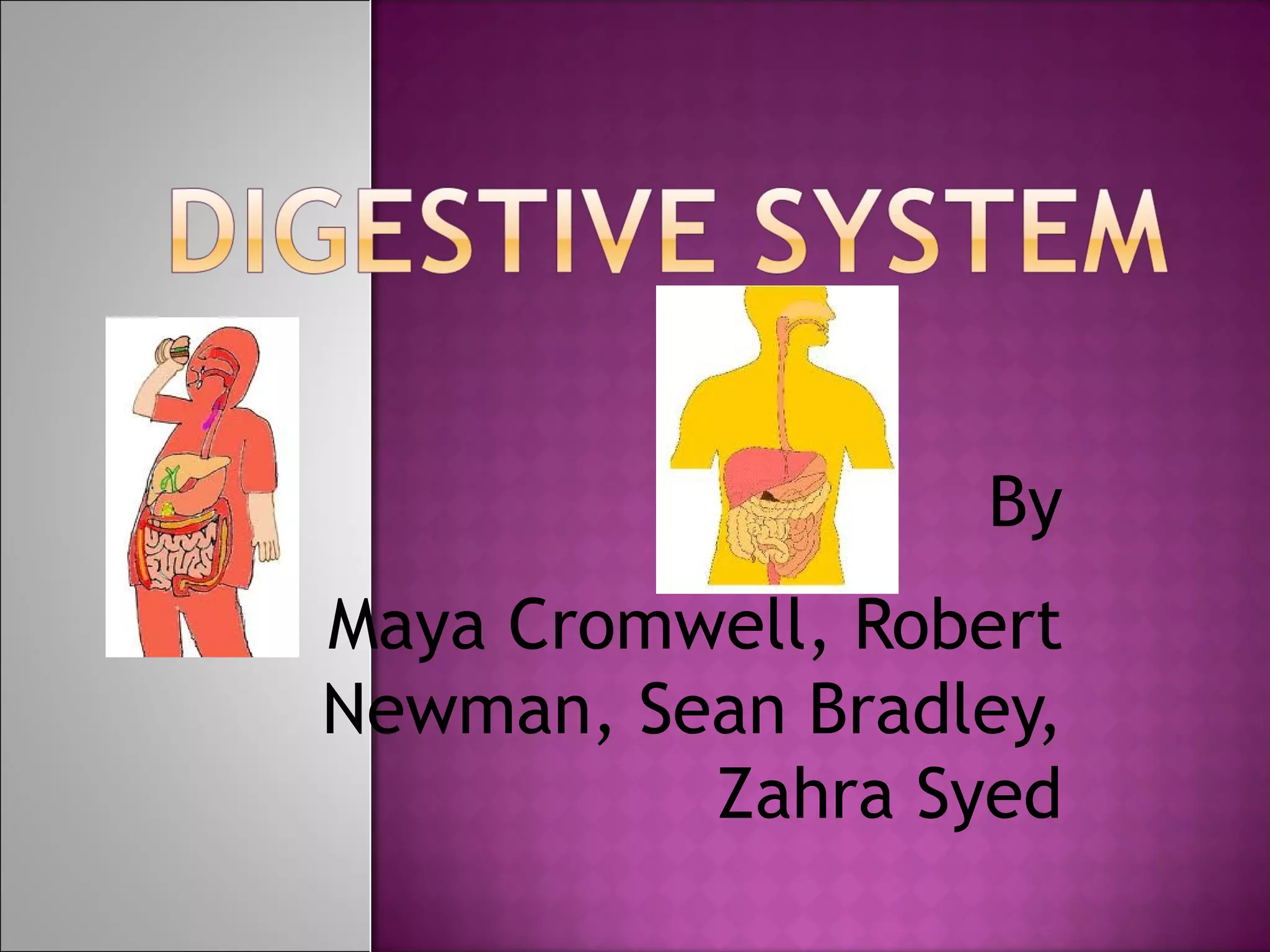 Digestive system | PPT | Chemistry | Science