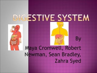Digestive system | PPT | Chemistry | Science