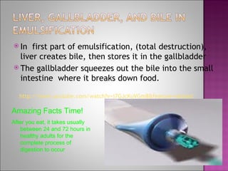 Digestive system | PPT | Chemistry | Science