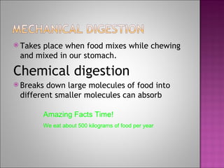 Digestive system | PPT