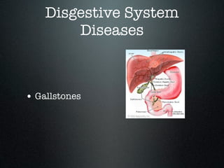 Digestive system | KEY