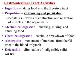 Digestive system | PPTX