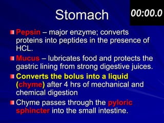 Digestive system | PPT