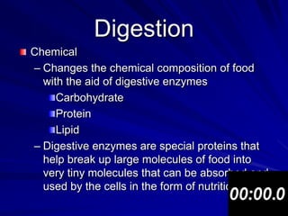 Digestive system | PPT