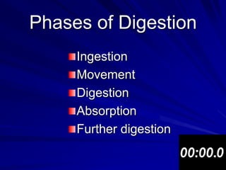 Digestive system | PPT