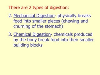 Digestive system | PPT