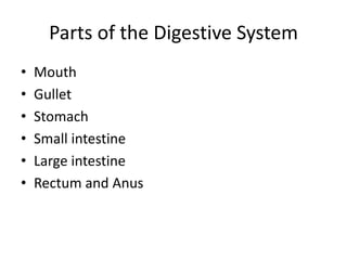 Digestive system | PPTX | Food & Drink