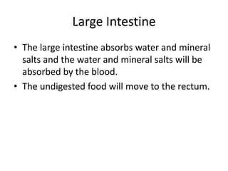 Digestive system | PPTX