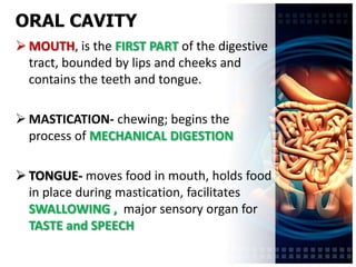 Digestive system | PPTX