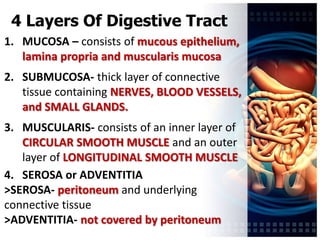 Digestive system | PPTX