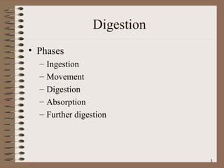 Digestivesystem | PPT