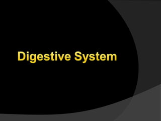 Digestive system | PPT | Digestive Disorders | Diseases and Conditions