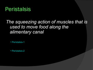 Digestive system | PPT | Digestive Disorders | Diseases and Conditions