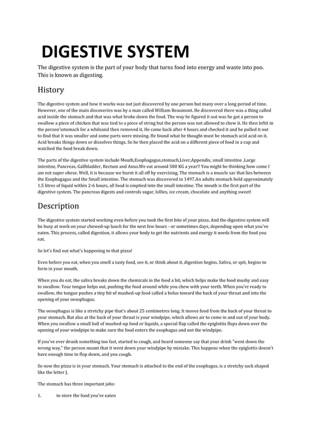 Digestive system power point | DOCX | Nutrition | Healthy Living