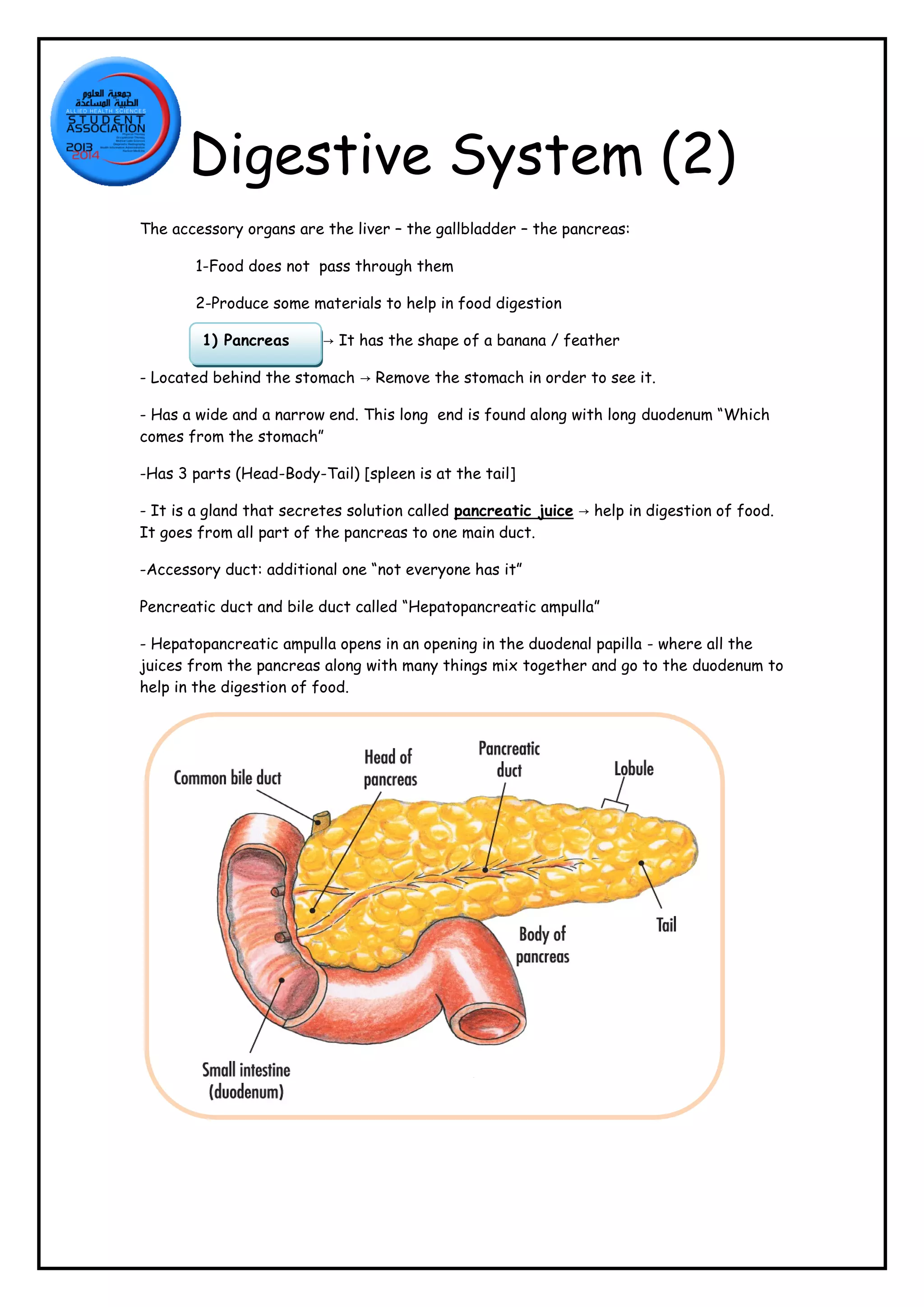 Digestive system | PDF