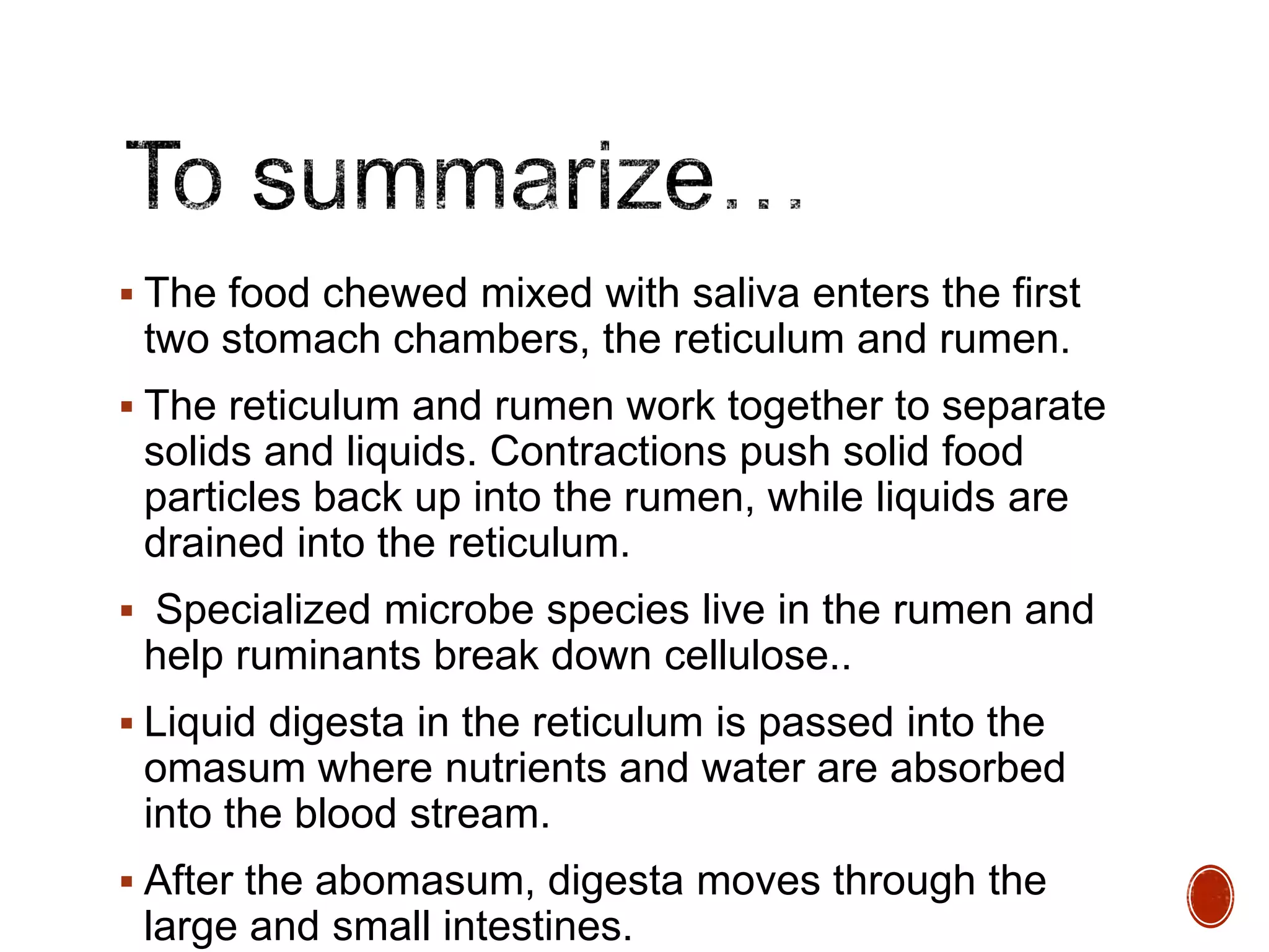 Digestive system | PPTX