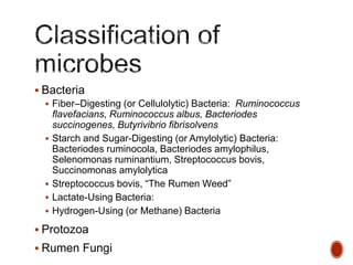 Digestive system | PPTX