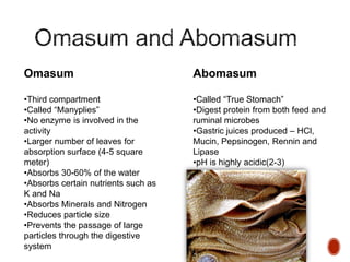 Digestive system | PPTX