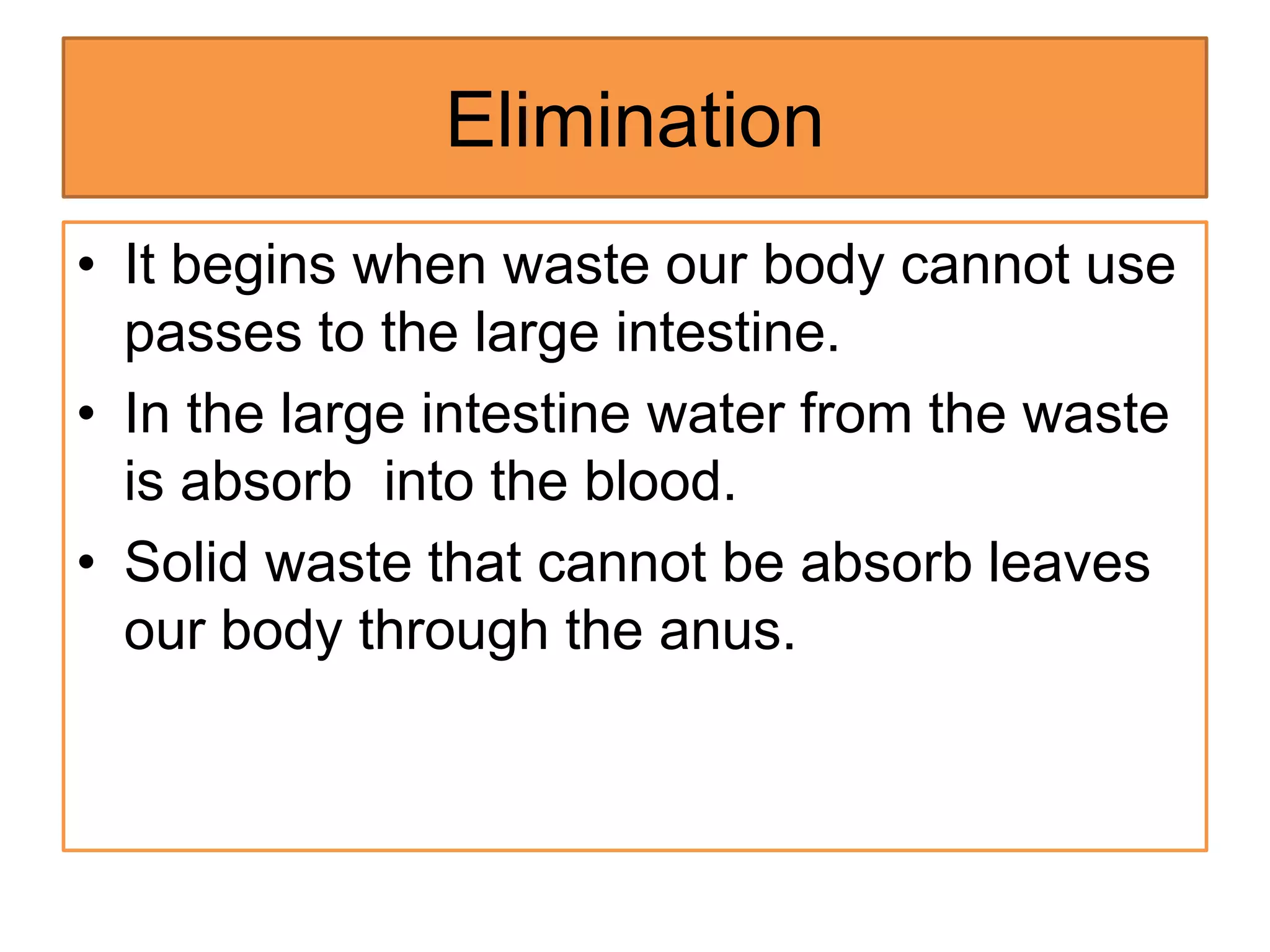 Digestive system | PPTX
