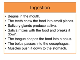 Digestive system | PPTX | Food & Drink