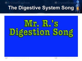 Digestive system | PPTX