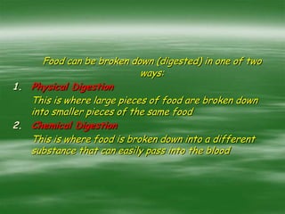 Digestive system | PPT