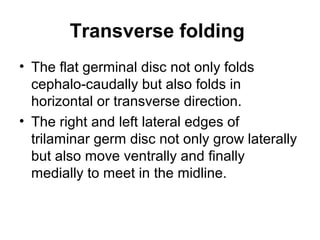 Digestive system | PPT