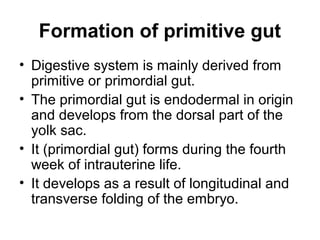 Digestive system | PPT